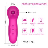 China Red Rose Clitoral Suction Vibrator 10 Modes USB Rechargeable Silicone Sex Toy for Women for sale