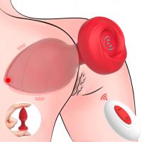 China Rechargeable APP Remote Control Silicone Anal Plug 10 Vibration Modes G Spot Stimulator 55g for sale