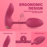 China Dual Motor Remote Control G Spot Vibrator with 10 Modes Silicone Wearable Egg for Women for sale
