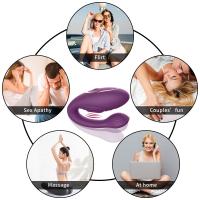 China Wireless Rechargeable Love Egg Vibrator Silicone 10 Frequency Remote Control Wearable for sale