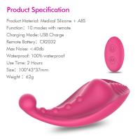 China Remote Control Panty Vibrator Silicone Mini Wearable Vibrating Underwear 10 Modes USB Rechargeable for sale