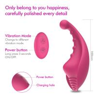 China Remote Control Panty Vibrator Silicone Mini Wearable Vibrating Underwear 10 Modes USB Rechargeable for sale