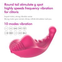 China Remote Control Panty Vibrator Silicone Mini Wearable Vibrating Underwear 10 Modes USB Rechargeable for sale
