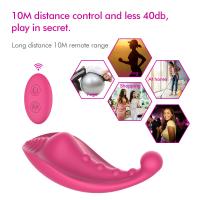 China Remote Control Panty Vibrator Silicone Mini Wearable Vibrating Underwear 10 Modes USB Rechargeable for sale
