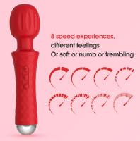 China USB Rechargeable Clitoral Wand Vibrator 8 Speeds 20 Modes Body Massager for Women for sale