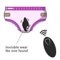 China Women Wearable Panties Vibrator Wireless Remote Control Clitoral Vibrator Silicone USB Rechargeable 10 Modes for sale