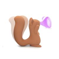 China Custom Silicone Squirrel Vibrator 5 Speed Absorption 10 Vibration Modes Rechargeable 500mAh for sale