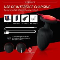 China Wireless Remote Control Silicone Vibrator Butt Plug LED Light Up Anal Toy 12 Modes 200mAh for sale