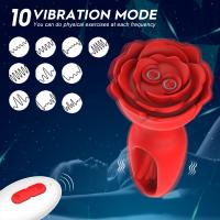 China Hollow Slapping Anal Plug Wireless Remote Control Universal Back Chamber Prostate Slapping Massager for sale