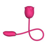 China Rose Wand Personal Massager 5 Suction 7 Vibration Modes Wireless Rechargeable for Women for sale