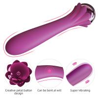China Torbers Silicone Clitoris Vibrator 12 Speeds USB Rechargeable IPX7 Waterproof Personal Massager for sale