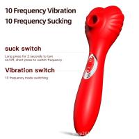China Waterproof Clitoral Vibrator with Suction Food Grade Silicone 10 Speed Adult Toy for sale