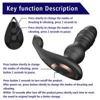 China Remote Control Thrusting Anal Vibrator Prostate Massager with 10 Vibration Modes for Men for sale