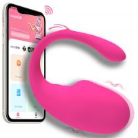 China Wireless APP Remote Control Silicone Egg Vibrator for Women G Spot Stimulation Adult Sex Toy for sale