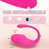 China Wireless APP Remote Control Silicone Egg Vibrator for Women G Spot Stimulation Adult Sex Toy for sale