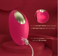 China Wireless App Remote Control Wearable Rose Panty Vibrator Silicone Egg Massager for Women 2024 for sale