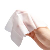 China Custom Logo Feminine Wet Wipes 10pcs per Box Organic Hygiene Tissues for Women for sale
