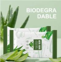 China Private Label Mint Feminine Intimate Wipes 20pcs per Box pH Balance Vaginal Cleaning for sale