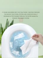 China Private Label Mint Feminine Intimate Wipes 20pcs per Box pH Balance Vaginal Cleaning for sale