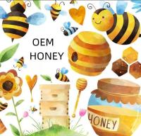 China New Product Beesweety Honey with Wholesale for sale
