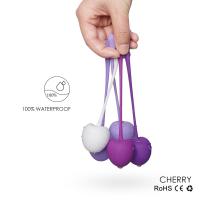 China Medical Silicone Kegel Exercise Balls Set 5pcs 30g-110g Pelvic Floor Trainer for sale