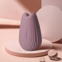 China USB Rechargeable Silicone Vibrator Body Safe Waterproof Adult Sex Toy for Wholesale for sale