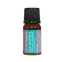 China 6 Pack Aromatherapy Essential Oils 10ml Private Label Gift Set for Relaxation and Calming for sale