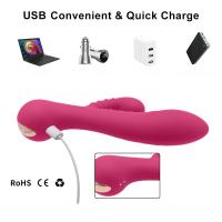 China Rose Clit Sucker Vibrator with Nipple Stimulator 10 Speed Modes USB Rechargeable Silicone Adult Toy for sale