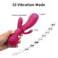 China Silicone Rabbit 10 Modes Massager G Spot Vibrator for Female for sale