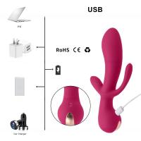 China Silicone Rabbit 10 Modes Massager G Spot Vibrator for Female for sale