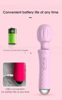 China USB Rechargeable Clitoral Vibrator Wand Body Massager 8 Speeds 20 Modes 207mm for sale