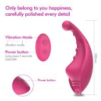 China Remote Control Panty Vibrator Silicone Mini Wearable Vibrating Underwear 10 Modes 180mAh for sale