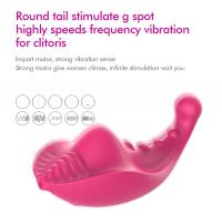 China Remote Control Panty Vibrator Silicone Mini Wearable Vibrating Underwear 10 Modes 180mAh for sale