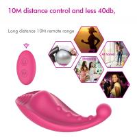 China Remote Control Panty Vibrator Silicone Mini Wearable Vibrating Underwear 10 Modes 180mAh for sale