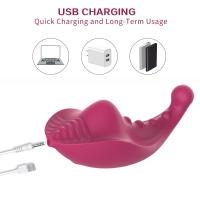 China 10 Vibration Modes Wireless Remote Control Wearable Panty Vibrator Clitoral Massager for Women 93g for sale