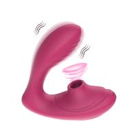 China Rechargeable G-Spot Vibrator with Suction Teasing Massage 10 Speed for sale