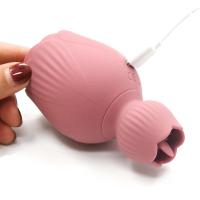China Rose Shape Silicone Sex Vibrator USB Rechargeable Water Resistant Body Safe Adult Toy for Women Custom OEM for sale