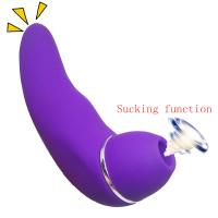 China Silicone Sucking Vibrator 160mm Waterproof Clitoral Stimulator G Spot Massager Sex Toy for Couples for sale