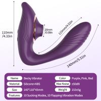China 3 in 1 Panty Vibrator with 10 Modes Silicone Sucker Clitoral G Spot Stimulator 91mm for sale