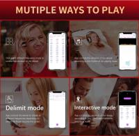 China Wireless App Remote Control Wearable Rose Panty Vibrating Egg Massager for Women Silicone 10 Speed for sale