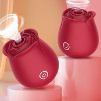 China Wireless Rose Vibrator for Women Silicone Rechargeable Adult Pleasure Toy 10 Speed for sale