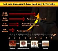 China Titan Gel Men Cock Massage Cream 100% Original Natural Plant Penis Enlargement 30ml for sale