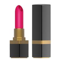 China Mini Camera Vibrator 6 Frequencies APP Control Dildo Body Massager Sex Toys for Women for sale