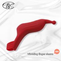 China Finger Vibrator 10 Modes Waterproof Rechargeable Adult Massager 300mAh for sale