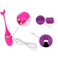 China USB Rechargeable Wireless Remote Control Vibrating Egg 10 Modes G Spot Stimulator 115mm Silicone for sale