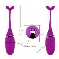 China USB Rechargeable Wireless Remote Control Vibrating Egg 10 Modes G Spot Stimulator 115mm Silicone for sale