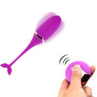 China USB Rechargeable Wireless Remote Control Vibrating Egg 10 Modes G Spot Stimulator 115mm Silicone for sale