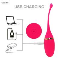China USB Rechargeable Wireless Remote Control Vibrating Egg 10 Modes G Spot Stimulator 115mm Silicone for sale