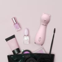 China Mini Vibrator Dream Pink Series G Spot Massager for Women USB Rechargeable 9 Modes Silicone for sale