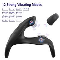 China Male Sperm Lock Ring Delay Training Vibration Set Couple Resonance Emotional Adult Products 220mAh USB Magnetic Charging for sale